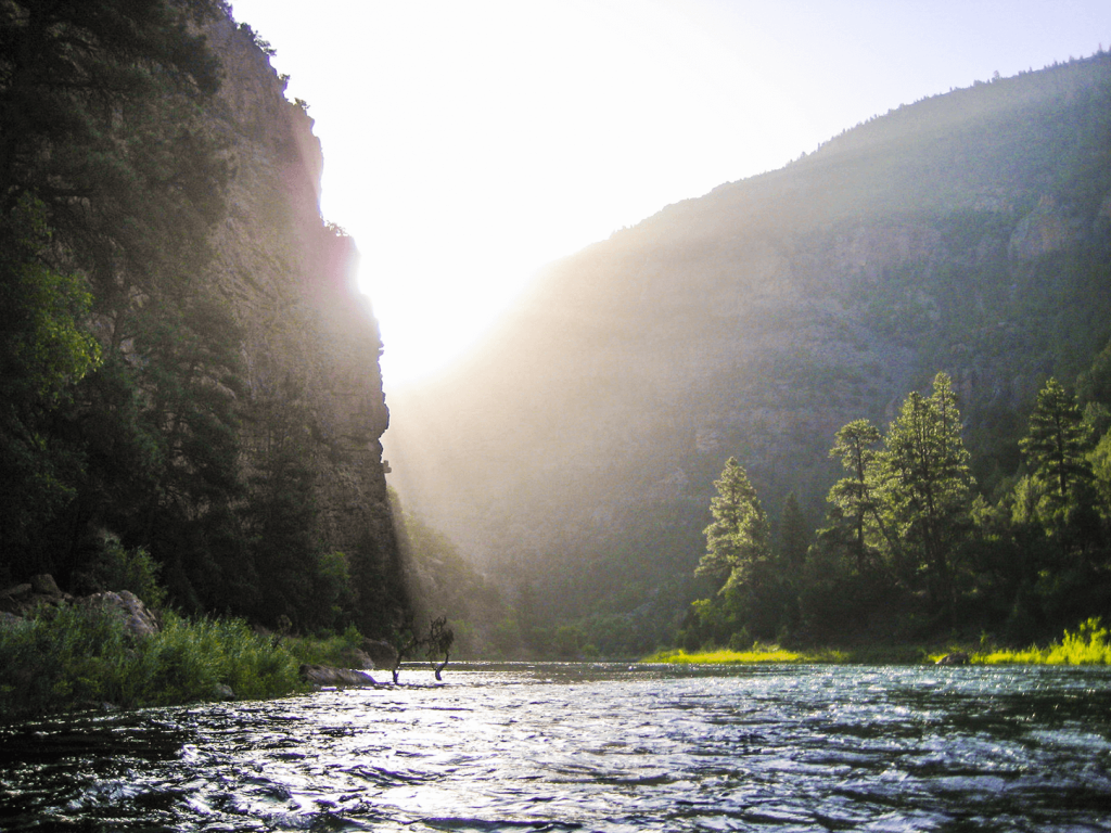 Green River Fly Fishing - Single Day Float Trip in Dutch John, Utah