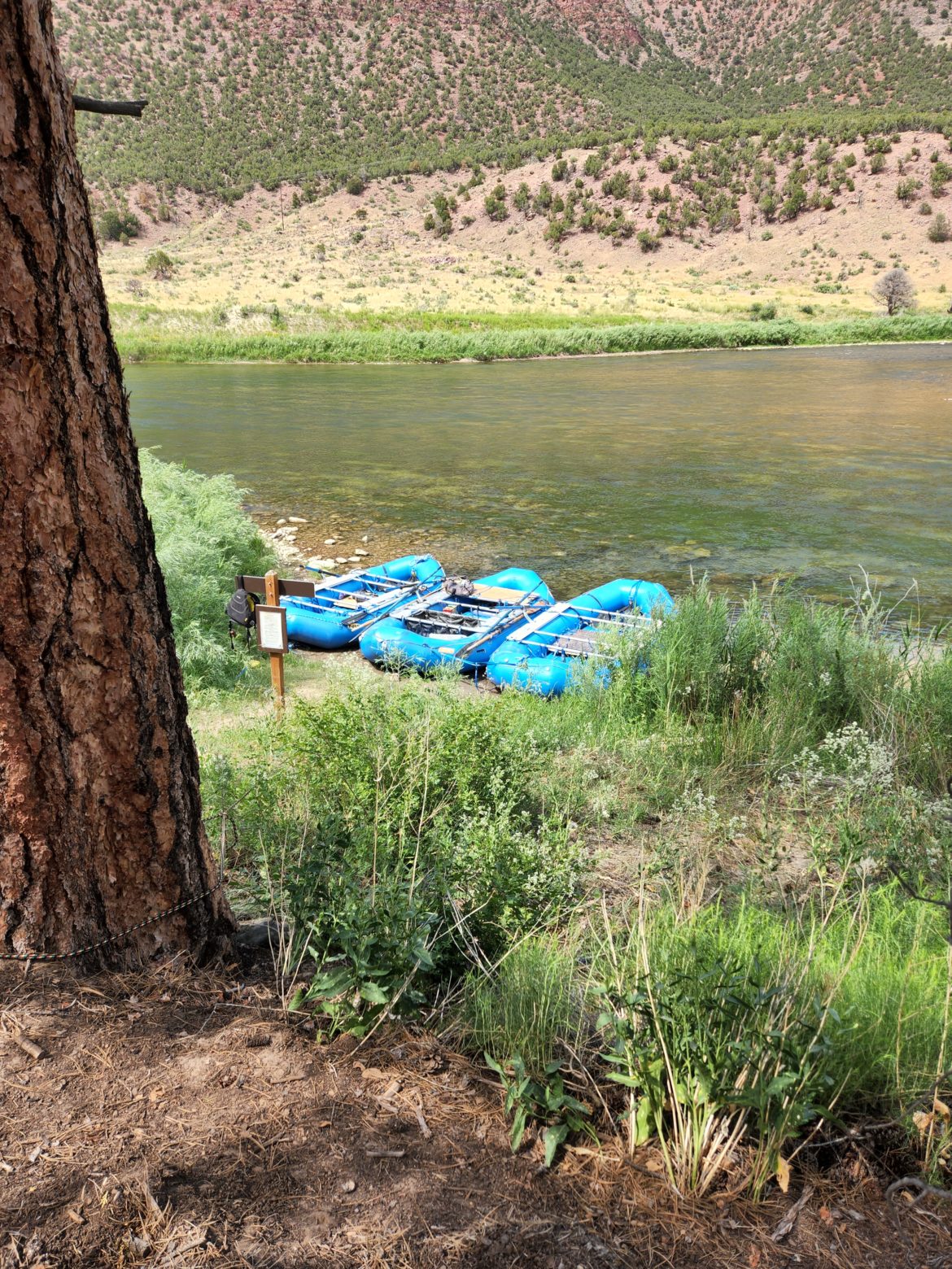 Overnight Camp Trips - WRFguides